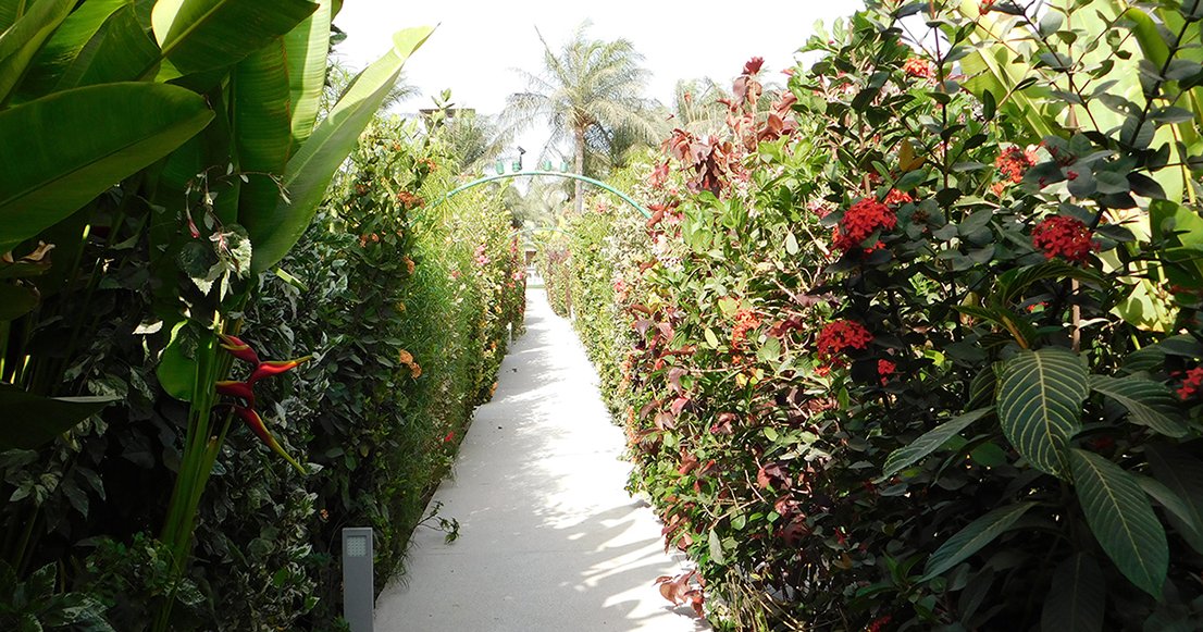 Cap Bay - Au Sénégal, le cœur du Sénégal
