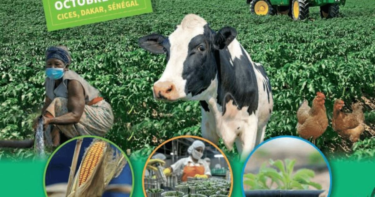 SIAGRO 2024 au CICES - Au Sénégal, le cœur du Sénégal