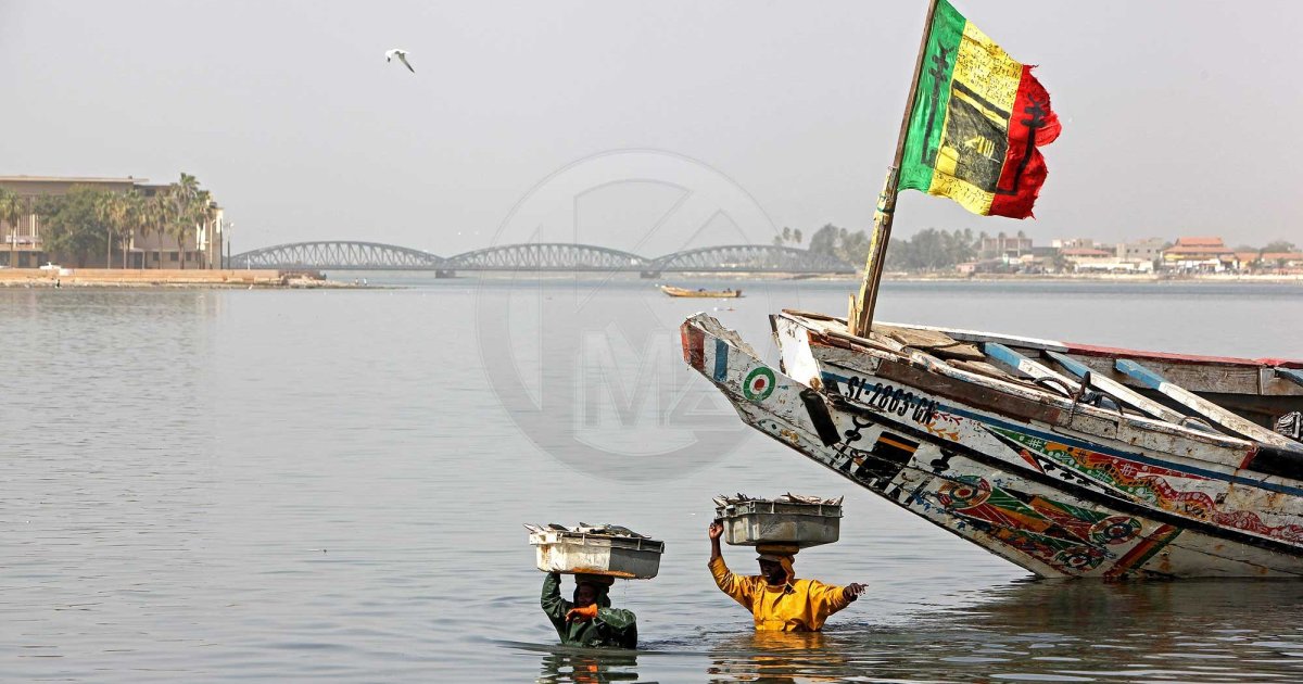Le delta du fleuve Sénégal - Au Sénégal, le cœur du Sénégal